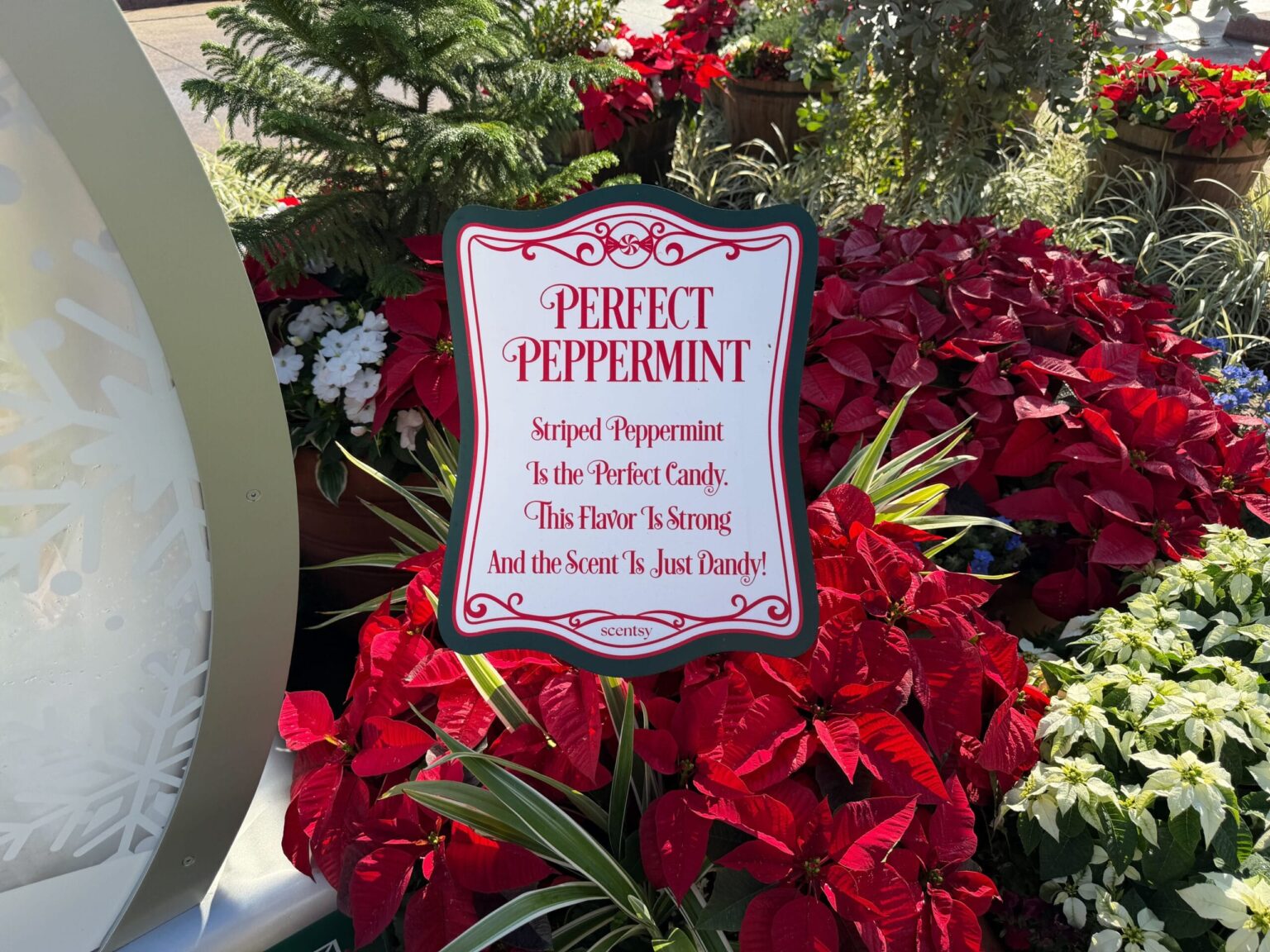 Scentsy’s Festive Fragrances Returns for 2025 EPCOT® International ...