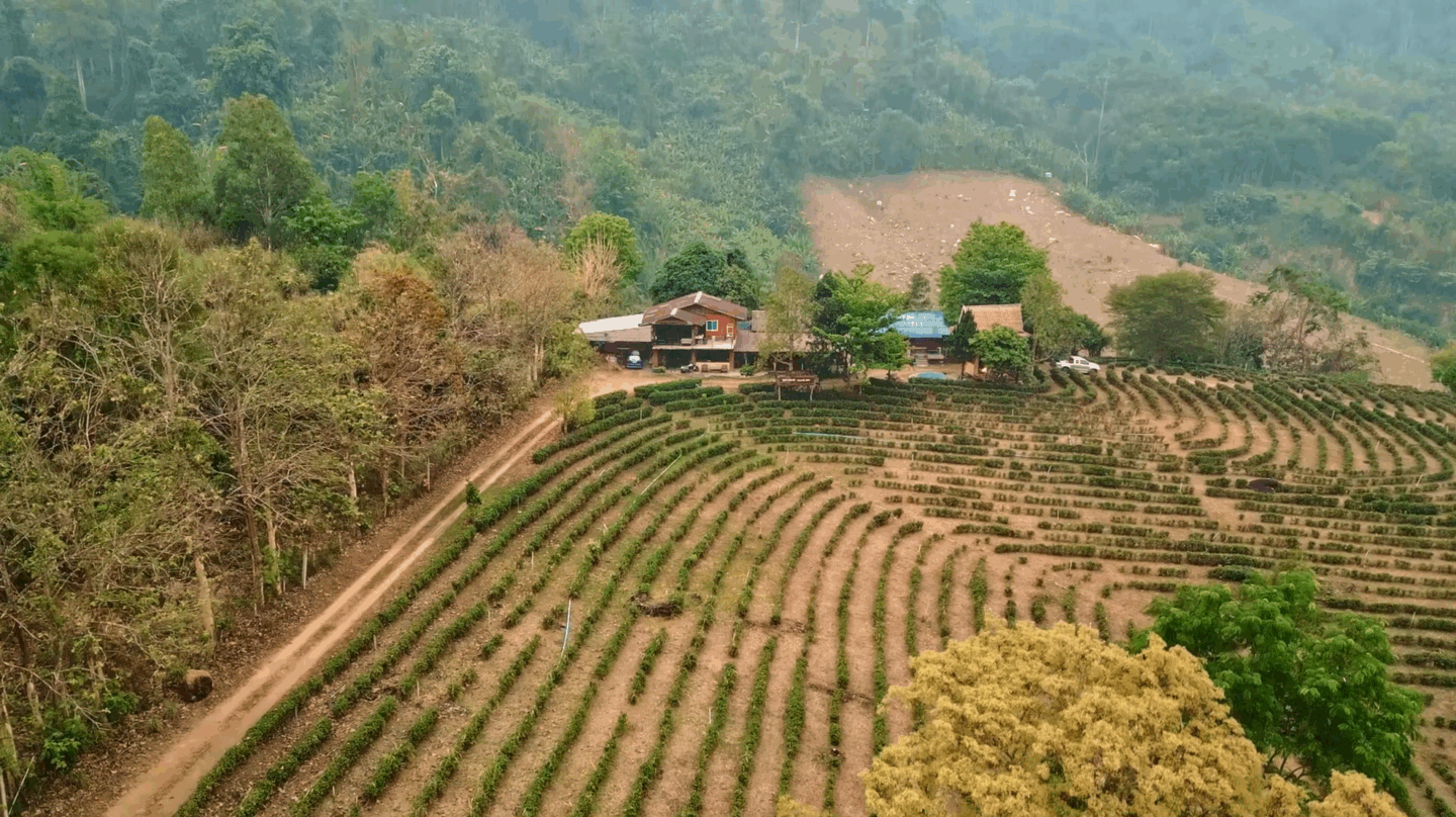 THREE Farm Research Institute: Science-Driven Growth at THREE - Direct ...